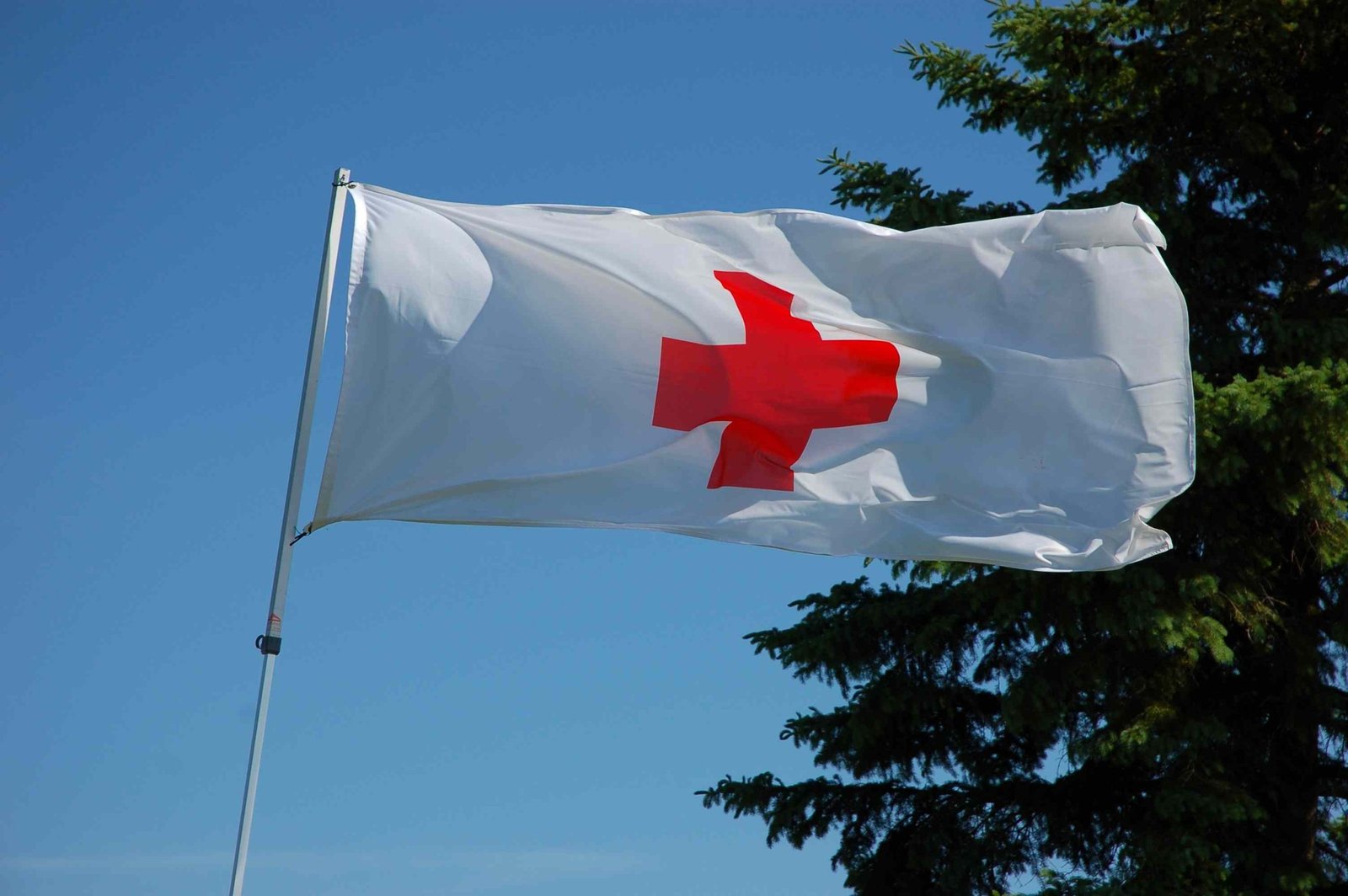 Why the Red Cross Must Visit the Hostages - Human Rights Haggadah